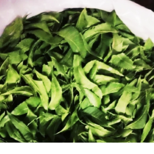 Dried Neem Leaves Naturally Grown by Ceylon Flavors 100% ORIGINAL(WT ...