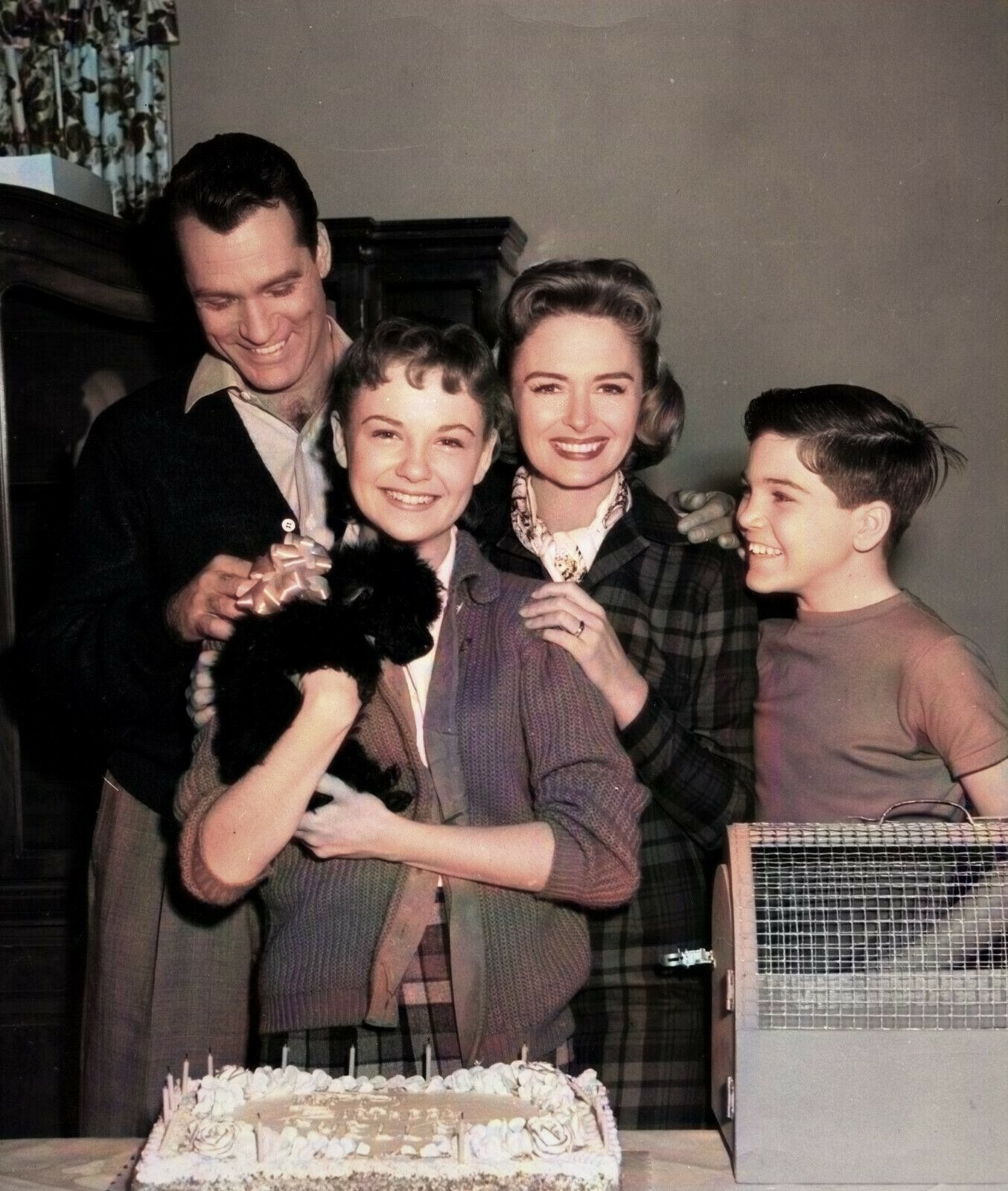 The Donna Reed Show Color