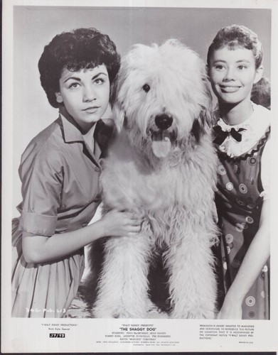 Annette Funicello & Roberta Shore and the dog in The Shaggy Dog photo ...
