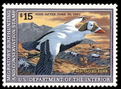 US RW59 $15 Hunting Permit Stamp 1992 Spectacled Eider VF NH | eBay