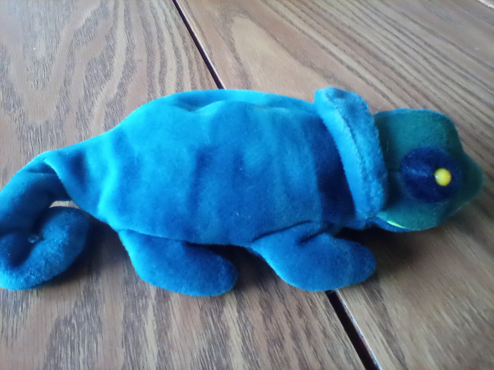 TY Beanie Baby Rainbow Chameleon 1997 RETIRED 1st Variation | eBay