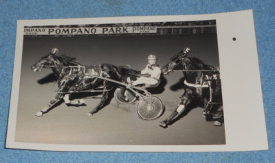 Vintage Harness Racing Press Photo Horse "Taroja Prince" Pompano Park ...