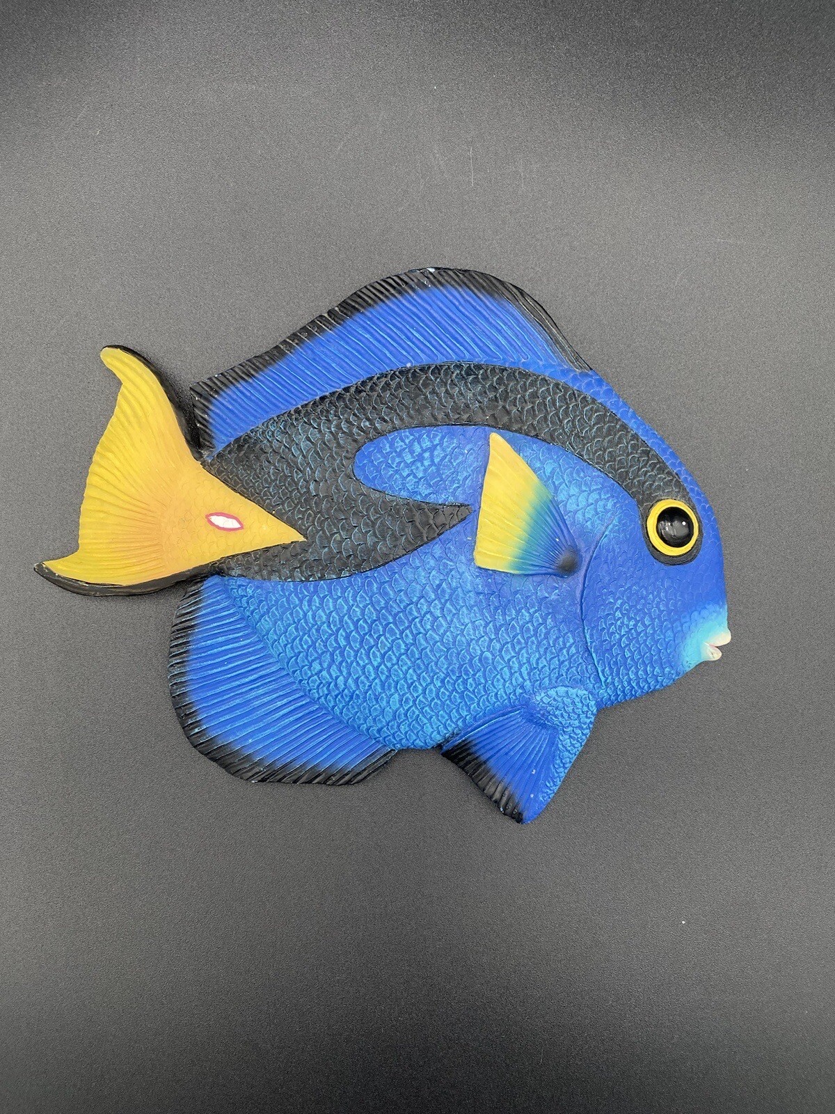 Tropical Colorful Fish Wall Hanging Clown Fish & Blue Tang-Dori Nemo | eBay