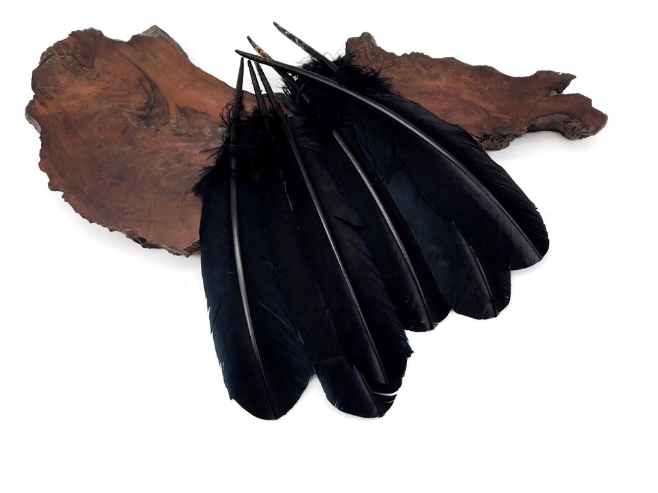 1/4 Lb. Black Turkey Tom Rounds Secondary Wing Quill Wholesale Feathers ...