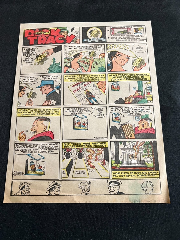 #T01a DICK TRACY By Chester Gould Lot of 30 Sunday Tabloid Full Page Strips 1971 | eBay