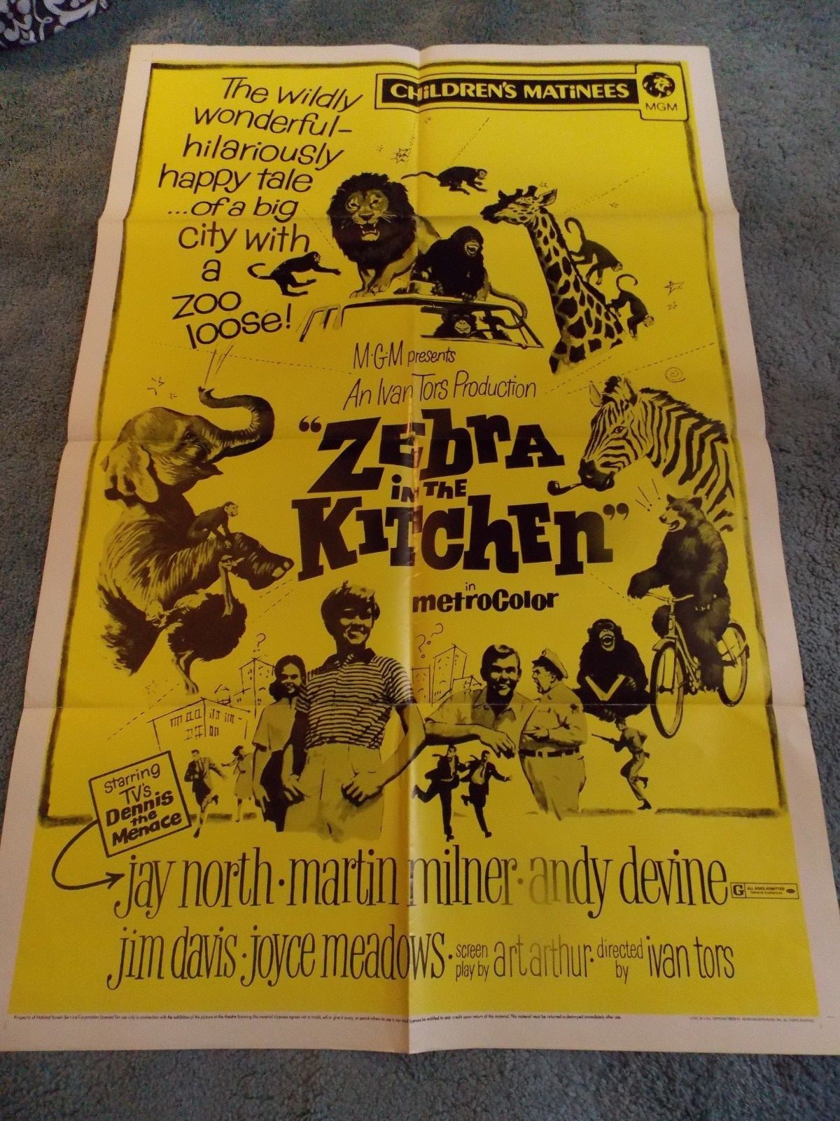 ZEBRA IN THE KITCHEN(1972)JAY NORTH ORIGINAL ONE SHEET POSTER | eBay