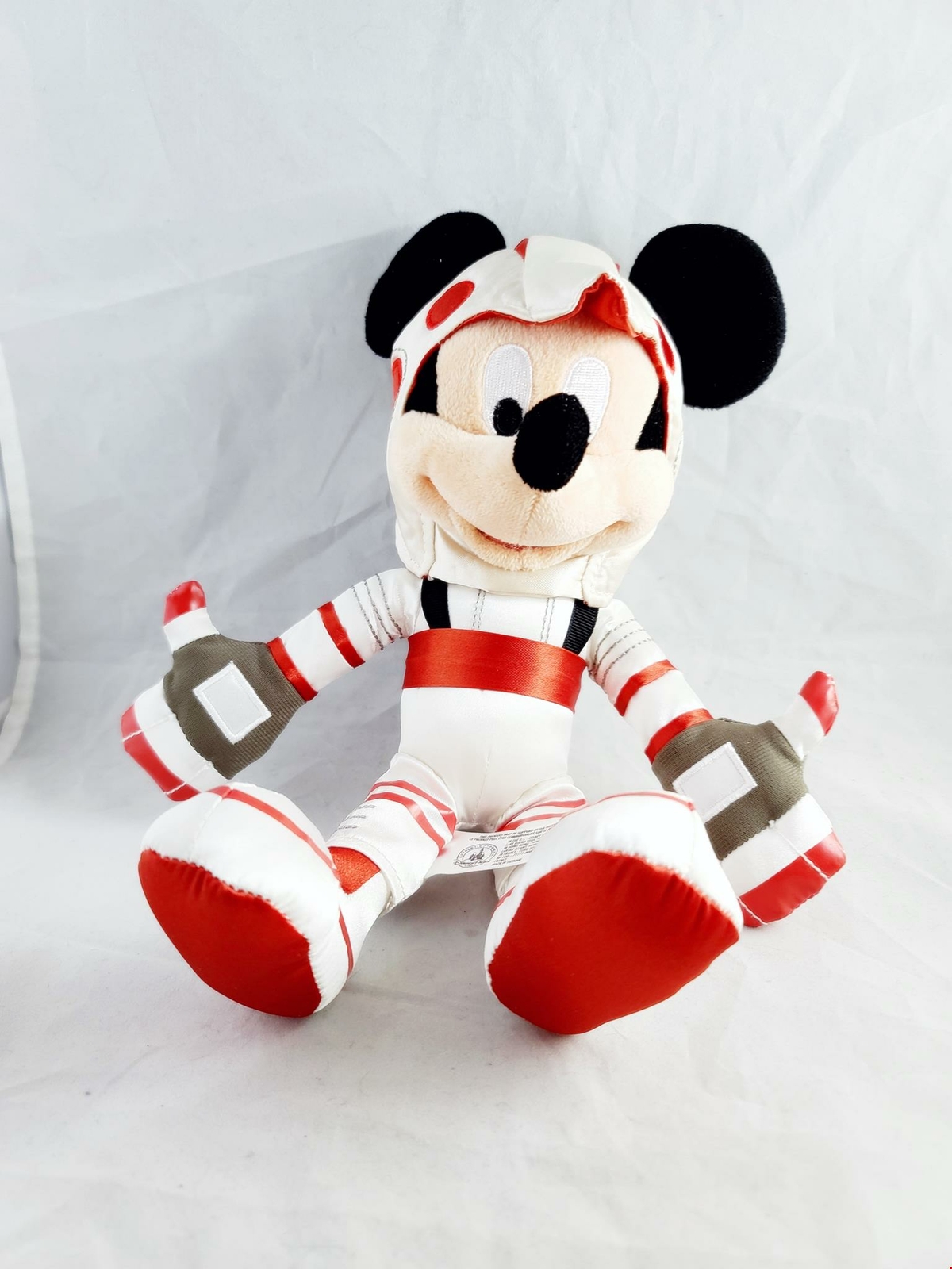 Mickey Mission Space