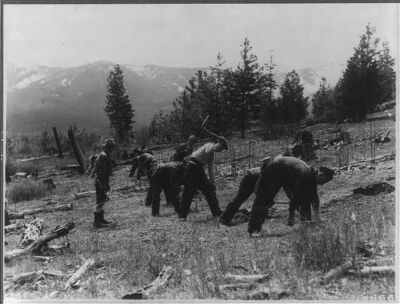 Photo:CCC,Civilian Conservation Corps planting tree seedlings | eBay
