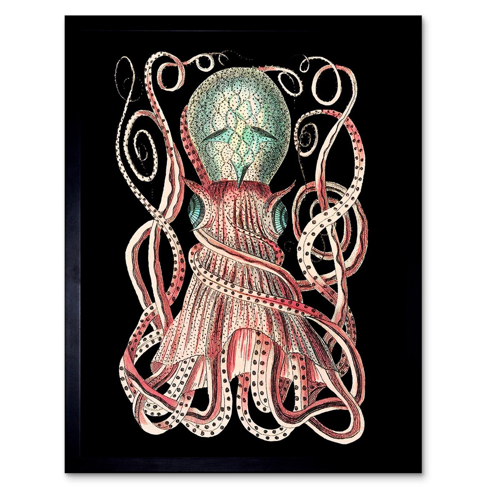 Granulated Cuttle Octopus Black 12X16 Inch Framed Art Print | eBay