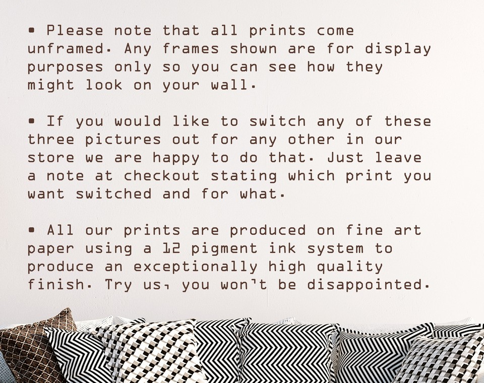 Set of 3 Insect Art Prints - Adolphe Millot Posters Beatles Bugs Flies ...