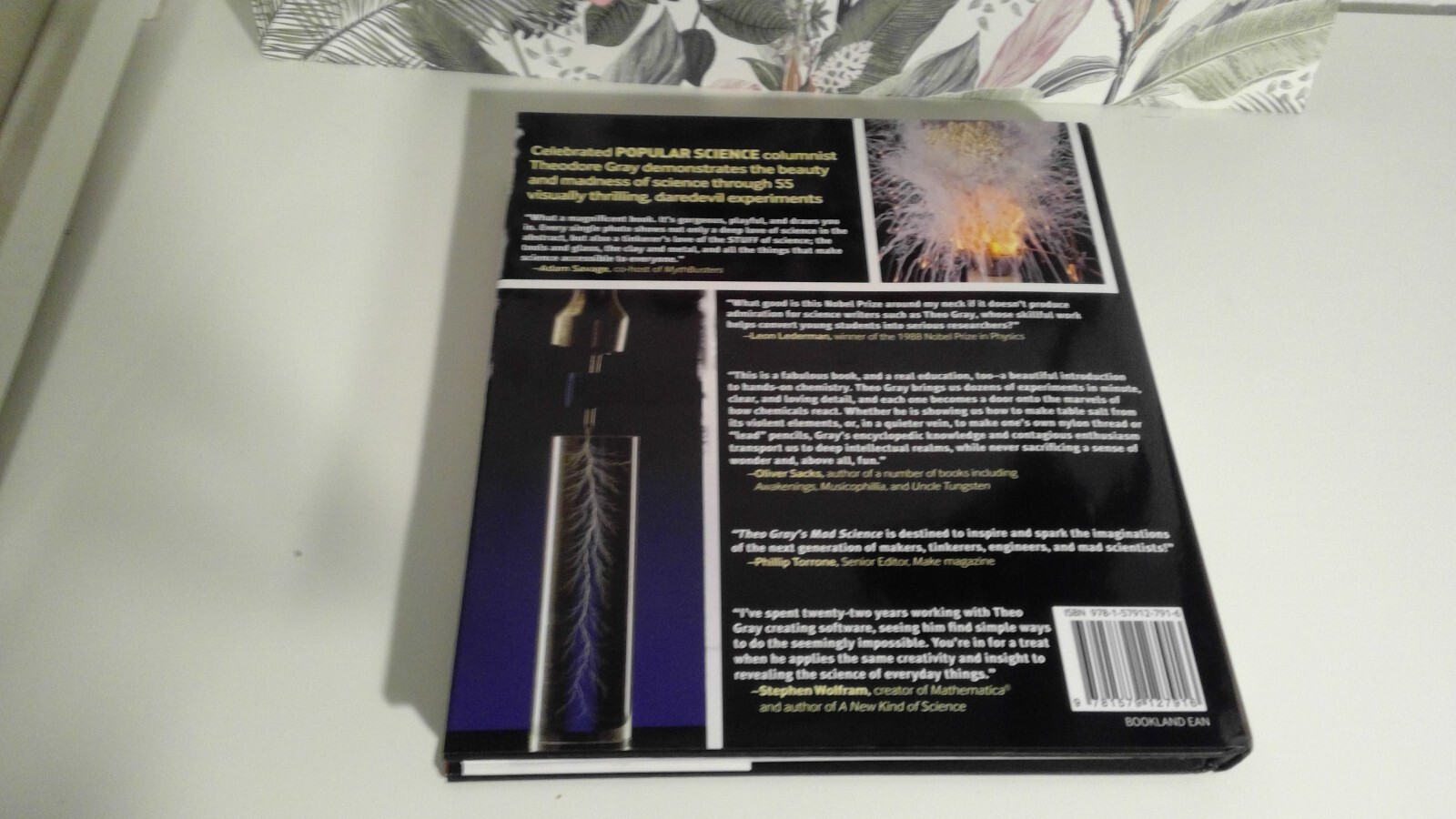 Theo Gray's Mad Science: Experiments You Can do at Home - But Probably ...