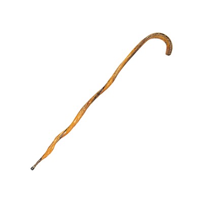 Bull Penis Cane | eBay