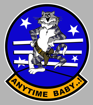 GRUMMAN TOMCAT F14 BADGE BLASON ANYTIME BABY SQUADRON 10cm AVION ...