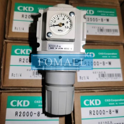 QTY:1 New For CKD pressure reducing valve R2000-8-W | eBay