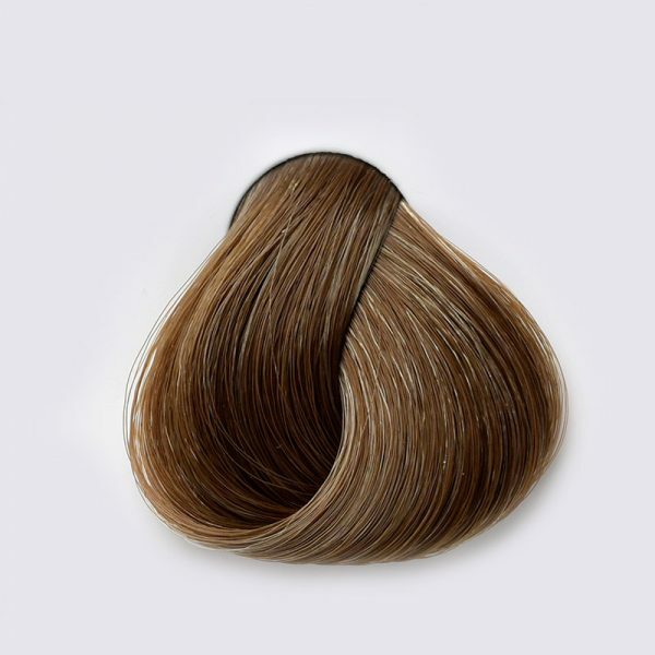 PROFESSIONAL HAIR TINT PERFECT PERMANENT TINT/DYE HAIR COLOUR ...