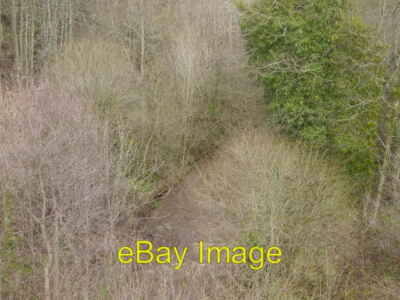 Photo 6x4 The Gore Water Arniston/NT3461 The gloomy burn flows through ...