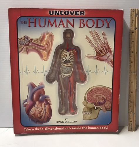 The Human Body Book Take a Three-Dimensional Look Inside the Human Body ...