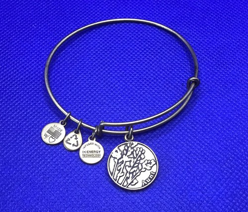 ALEX and ANI " Anchor Slider " Charm Bangle Bracelet Gold Tone + Energy ...