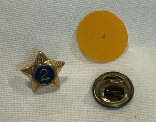 Vintage 2 Year Pin Boy Scouts of America Membership Service Star Blue ...