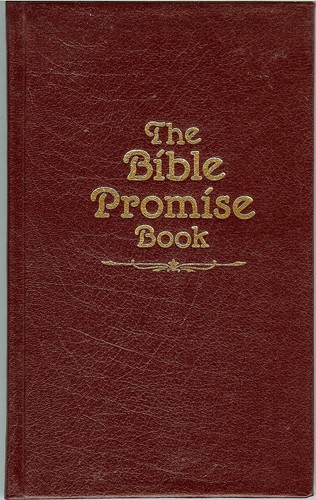 The Bible Promise Book (Genuine Bonded Leather) | eBay