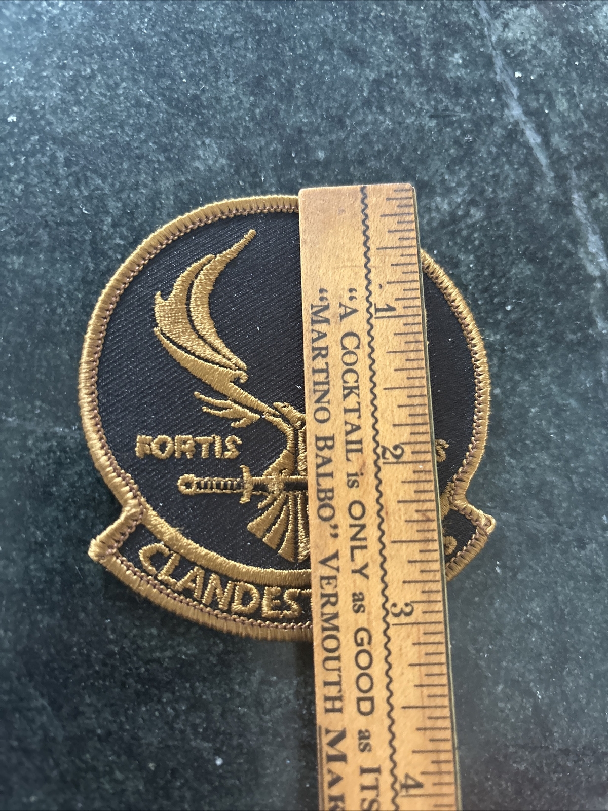 Clandestine Ops PATCH RARE 3” Logo Iron On USAF Military Intel ...