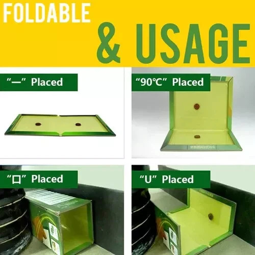 Glue Traps Non-Toxic Super Sticky Insect Catcher NOT for MICE, MOUSE ...