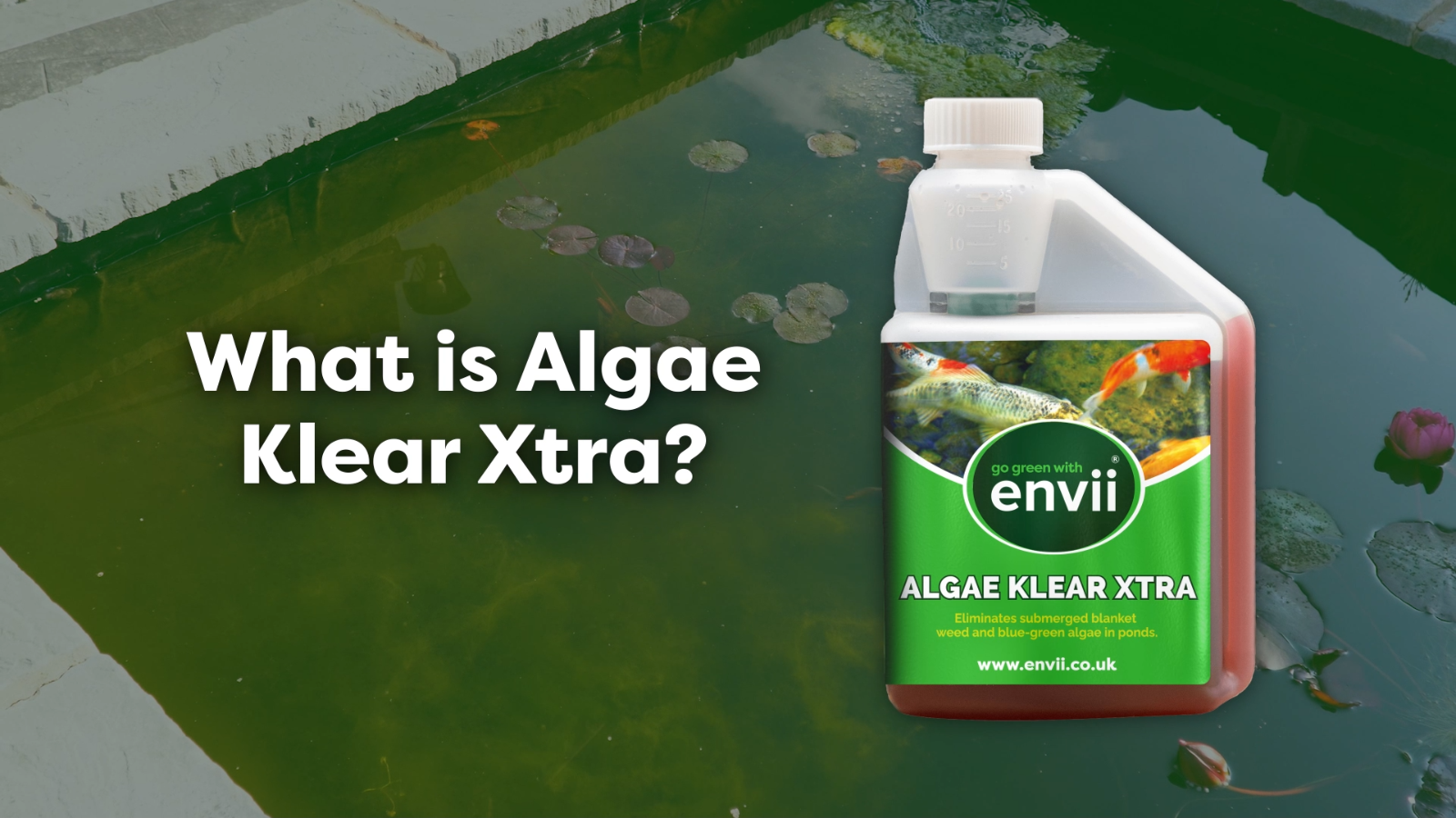 Envii Algae Klear Xtra – Pond Blanket Weed Remover Killer Submerged ...