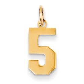 14K Yellow Gold Polished Laser Cut Small Number # 5 Charm Pendant For ...
