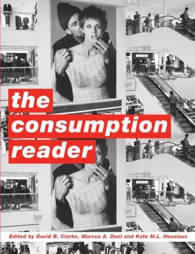 THE CONSUMPTION READER By David B. Clarke & Marcus A. Doel *Excellent ...