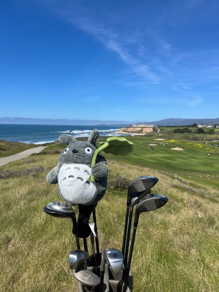 Totoro Golf Head Cover | eBay
