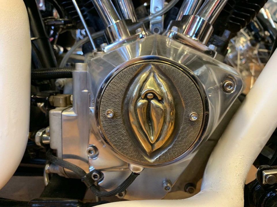 Harley-Davidson SHOVELHEAD, EVOLUTION,Sportster point cover, SOLID ...