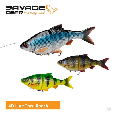 Savage Gear 4D Line Thru Roach Lures - Pike Zander Predator Fishing ...