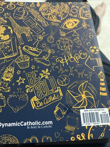 Decision Point - Dynamic Catholic (Paperback, 2014) 9781937509729| eBay