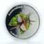Cook Islands 1 dollar Goliath Stick Insect proof silver coin 2000 ...