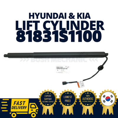 GENUINE OEM Hyundai Kia Lift Cylinder Drive Unit Assy Power T Gate LH ...