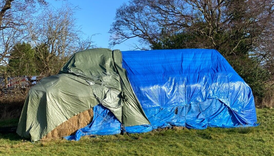 Small Conventional Hay Bales x 300 bales - 2024 | eBay UK