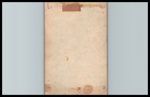 Orig 1910 French Risque Postcard Photo Voluptuous Nude MISS FERNANDE ...