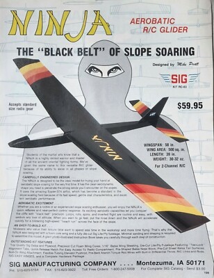 SIG Ninja RC Airplane Print Ad Ephemera Wall Decor | eBay