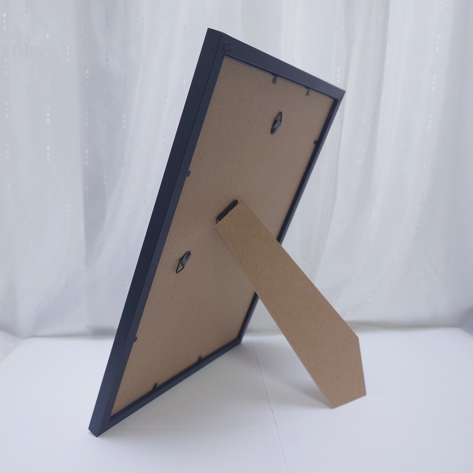 FINAL FANTASY x Yoshitaka Amano Poster framed Clear File Tidus Yuna ...