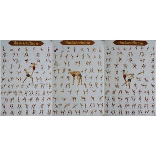 3 Muay Thai Kick Boxing Poster Technical Training Tactic Fighter ...