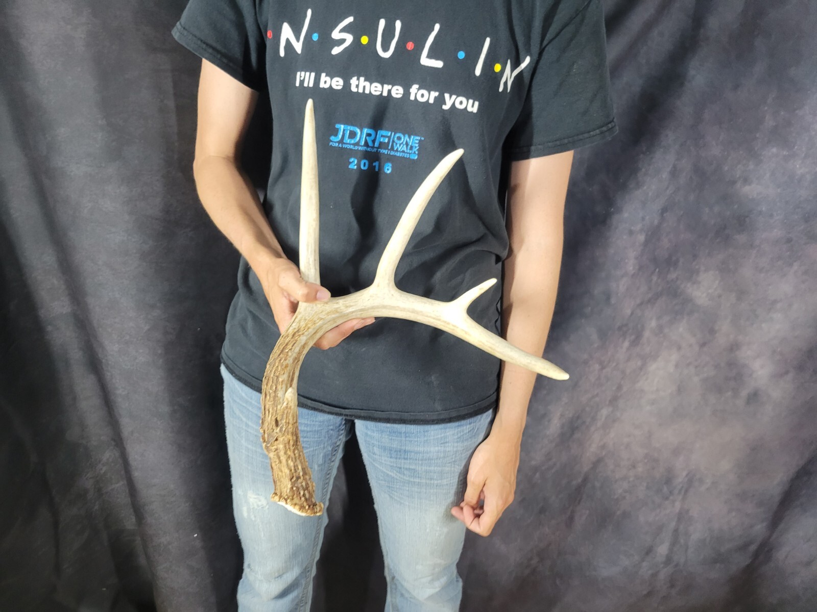 Wild Whitetail Deer Antler Shed Horn Rack Decor Craft 5 Point IA ...