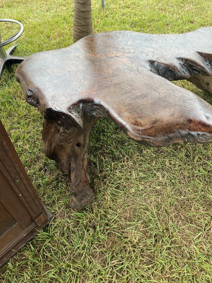 Burled Walnut Coffee Table. Live Edge Walnut Wood Slab | eBay