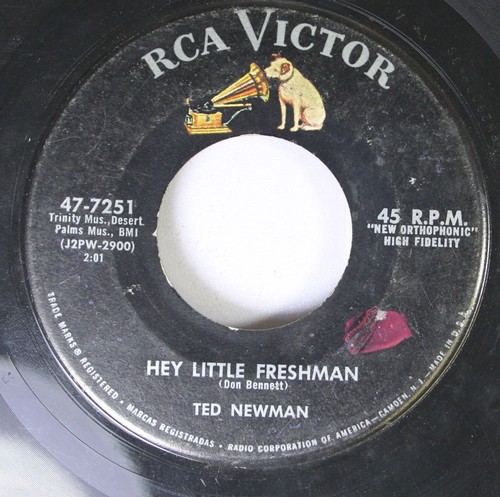Hear! Rockabilly 45 Ted Newman - Hey Little Freshman / Brigitte On Rca ...