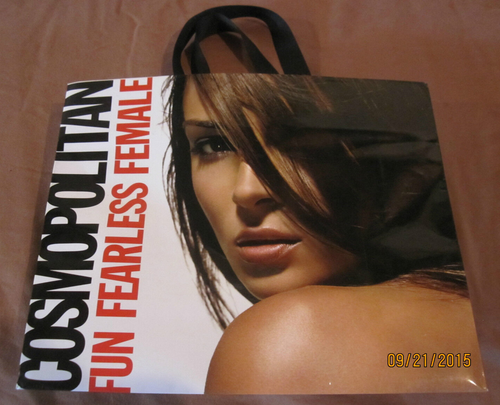 Cosmo Cosmopolitan Fun Fearless Female gift bag with ribbon handles | eBay