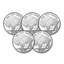 1 oz Silver Round - Buffalo (Lot of 5 Rounds) - .999 Fine Silver | eBay