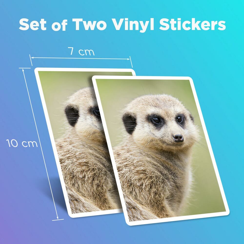 2 x Vinyl Stickers 7x10cm - Little Cute Meerkat Animals Mongoose #8554 ...