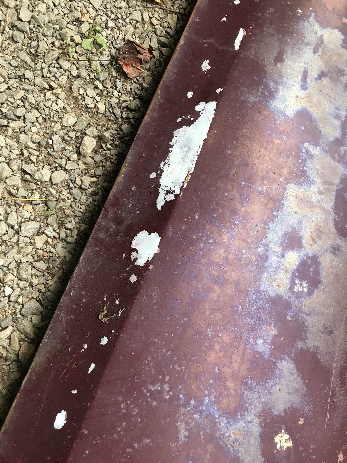 1967 GTO Lemans Tempest RH Door Shell Passengers | eBay