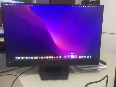 EIZO FORIS FS2434 24 pollici monitor gaming Made In Japan Grado A | eBay
