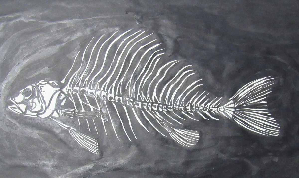 Fish Skeleton Painting