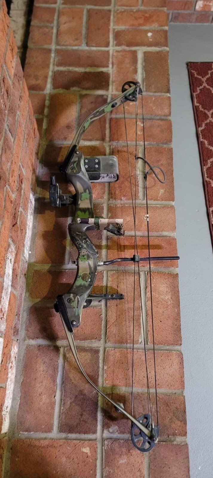 Hoyt Compound Bow | eBay